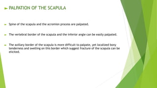 ANATOMY OF SHOULDER JOINT AND ITS EXAMINATION.pptx