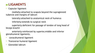 ANATOMY OF SHOULDER JOINT AND ITS EXAMINATION.pptx