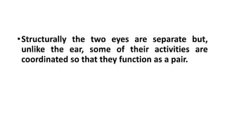 Anatomy of sight and the eye | PPTX