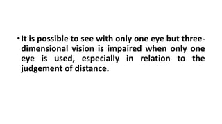 Anatomy of sight and the eye | PPTX