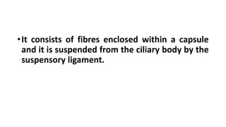 Anatomy of sight and the eye | PPTX