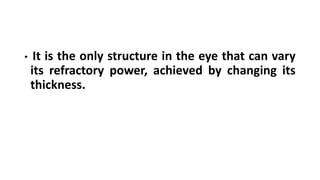 Anatomy of sight and the eye | PPTX