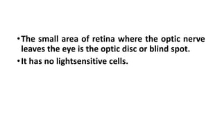 Anatomy of sight and the eye | PPTX