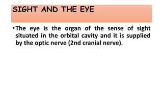 Anatomy of sight and the eye | PPTX