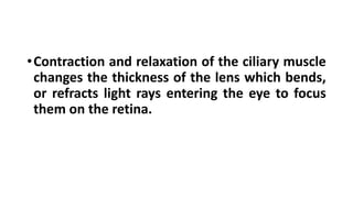 Anatomy of sight and the eye | PPT