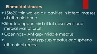 Anatomy of sinuses. Shalakya tantra 4th yr bams. | PPTX