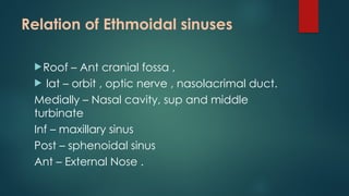 Anatomy of sinuses. Shalakya tantra 4th yr bams. | PPTX