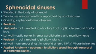 Anatomy of sinuses. Shalakya tantra 4th yr bams. | PPTX