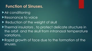 Anatomy of sinuses. Shalakya tantra 4th yr bams. | PPTX
