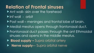 Anatomy of sinuses. Shalakya tantra 4th yr bams. | PPTX