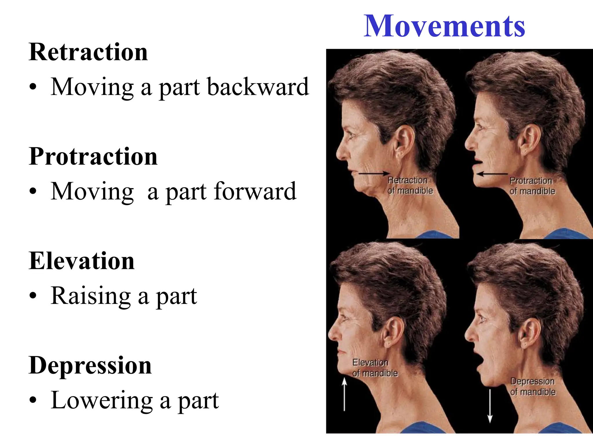 ANATOMY OF SKELETON & ANATOMICAL MOVEMENTS .pptx