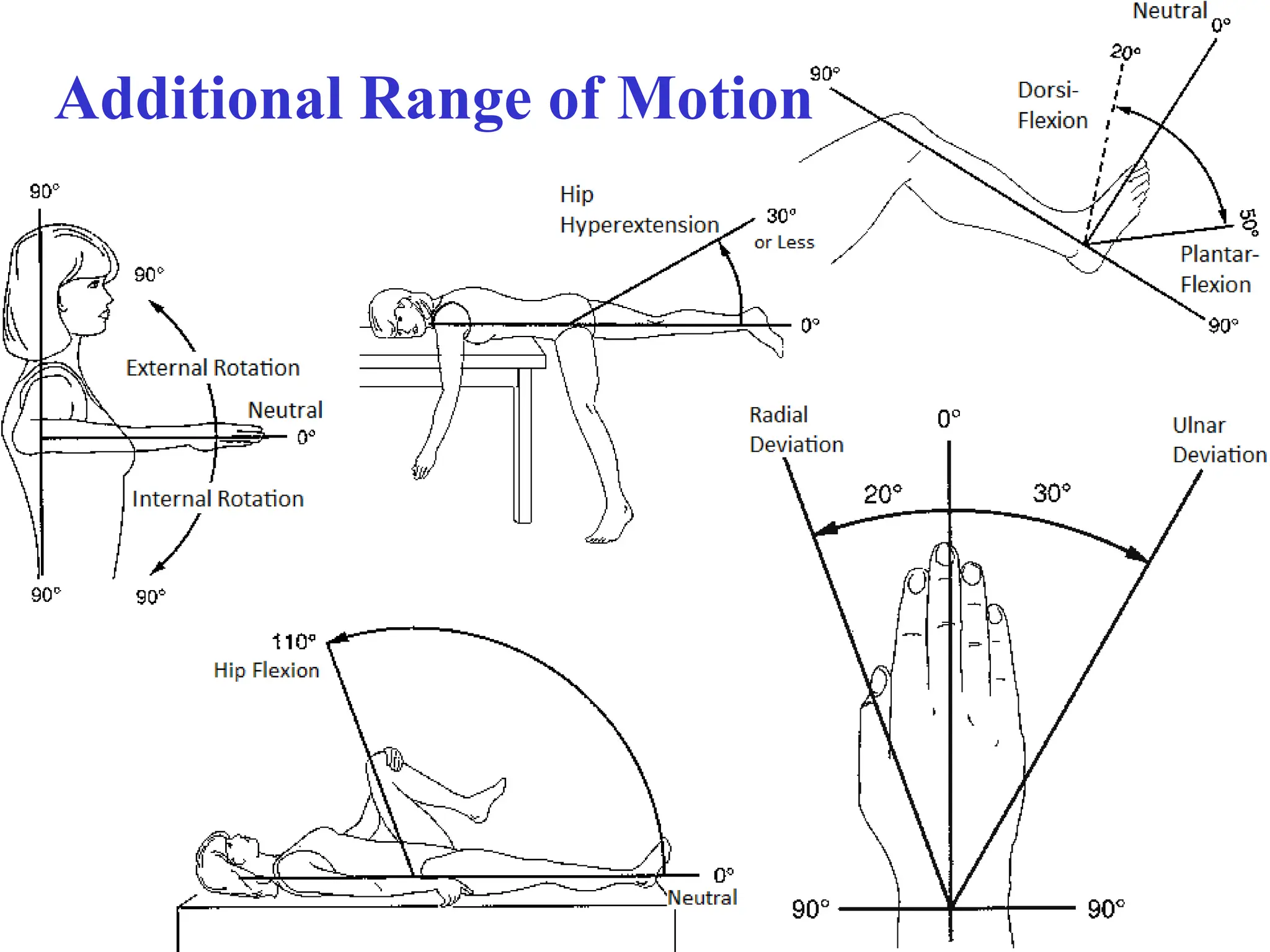 ANATOMY OF SKELETON & ANATOMICAL MOVEMENTS .pptx