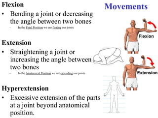 ANATOMY OF SKELETON & ANATOMICAL MOVEMENTS .pptx
