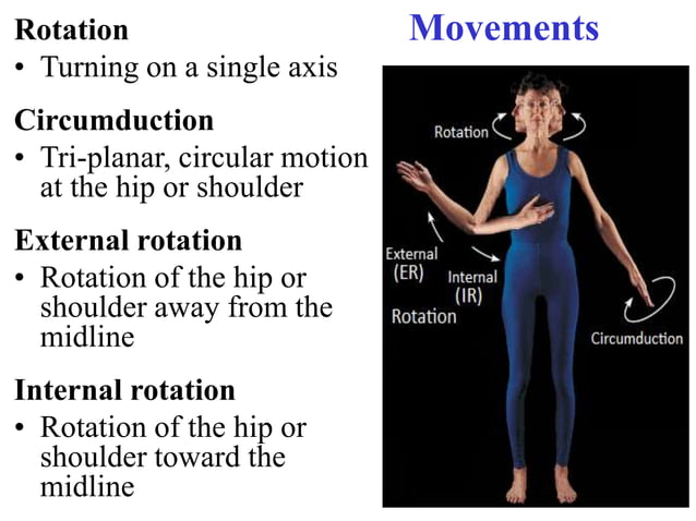 ANATOMY OF SKELETON & ANATOMICAL MOVEMENTS .pptx