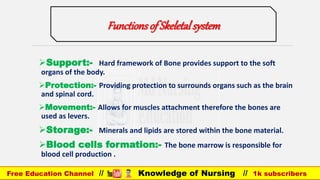 Anatomy of skeleton system full/Human all Bones | PPT