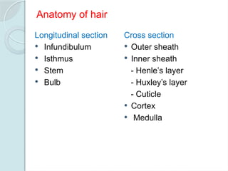 Anatomy of Skin-1.pptx detailed description of layers of skin | PPTX