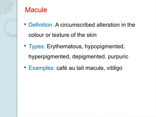 Anatomy of Skin-1.pptx detailed description of layers of skin | PPTX