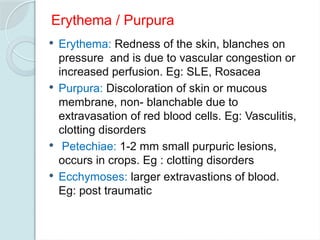 Anatomy of Skin-1.pptx detailed description of layers of skin | PPTX