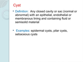 Anatomy of Skin-1.pptx detailed description of layers of skin | PPTX