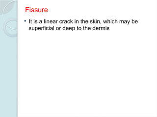 Anatomy of Skin-1.pptx detailed description of layers of skin | PPTX