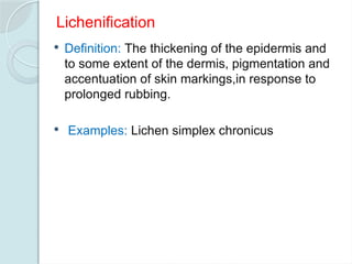 Anatomy of Skin-1.pptx detailed description of layers of skin | PPTX