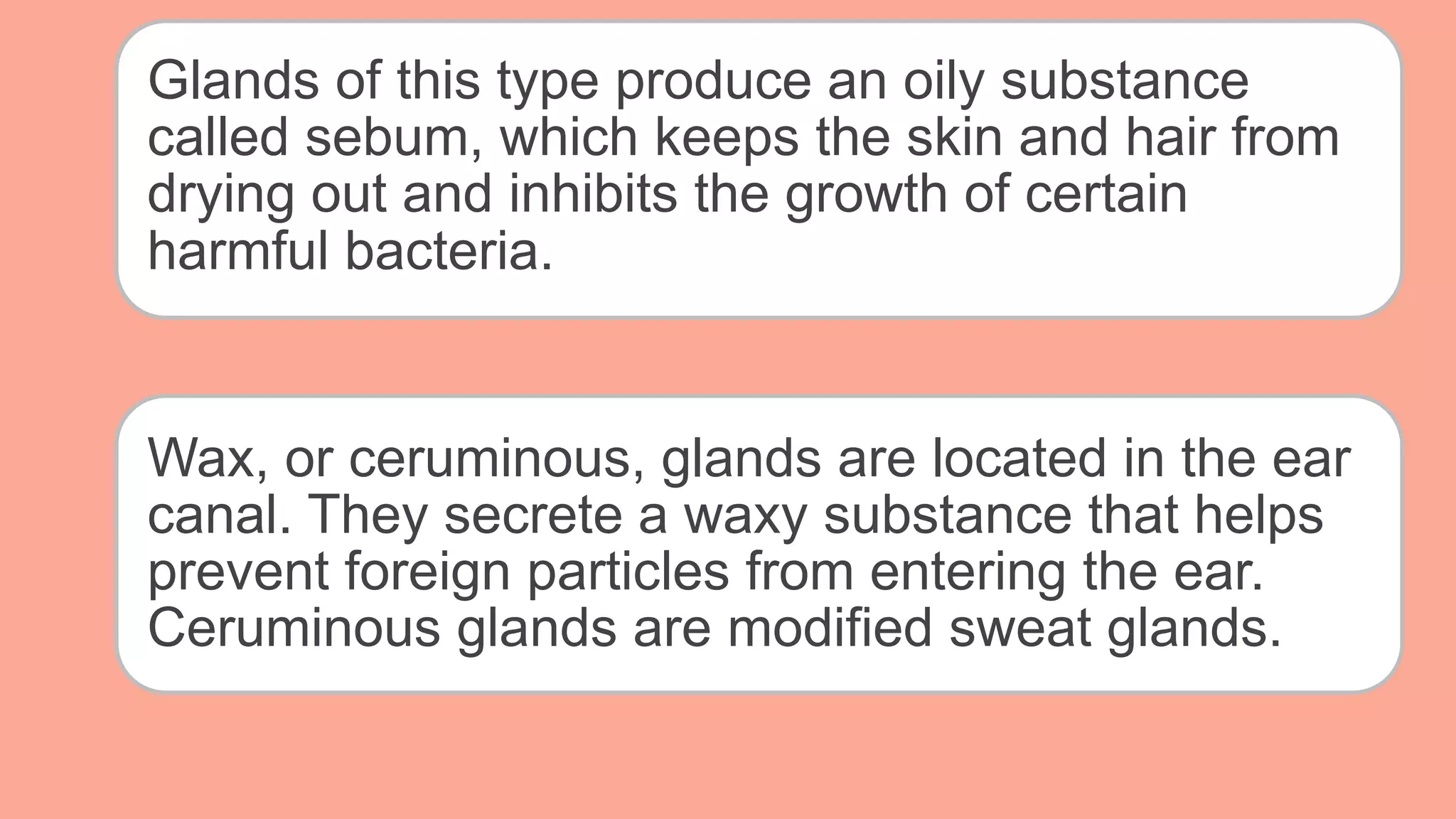 Anatomy of skin | PPTX