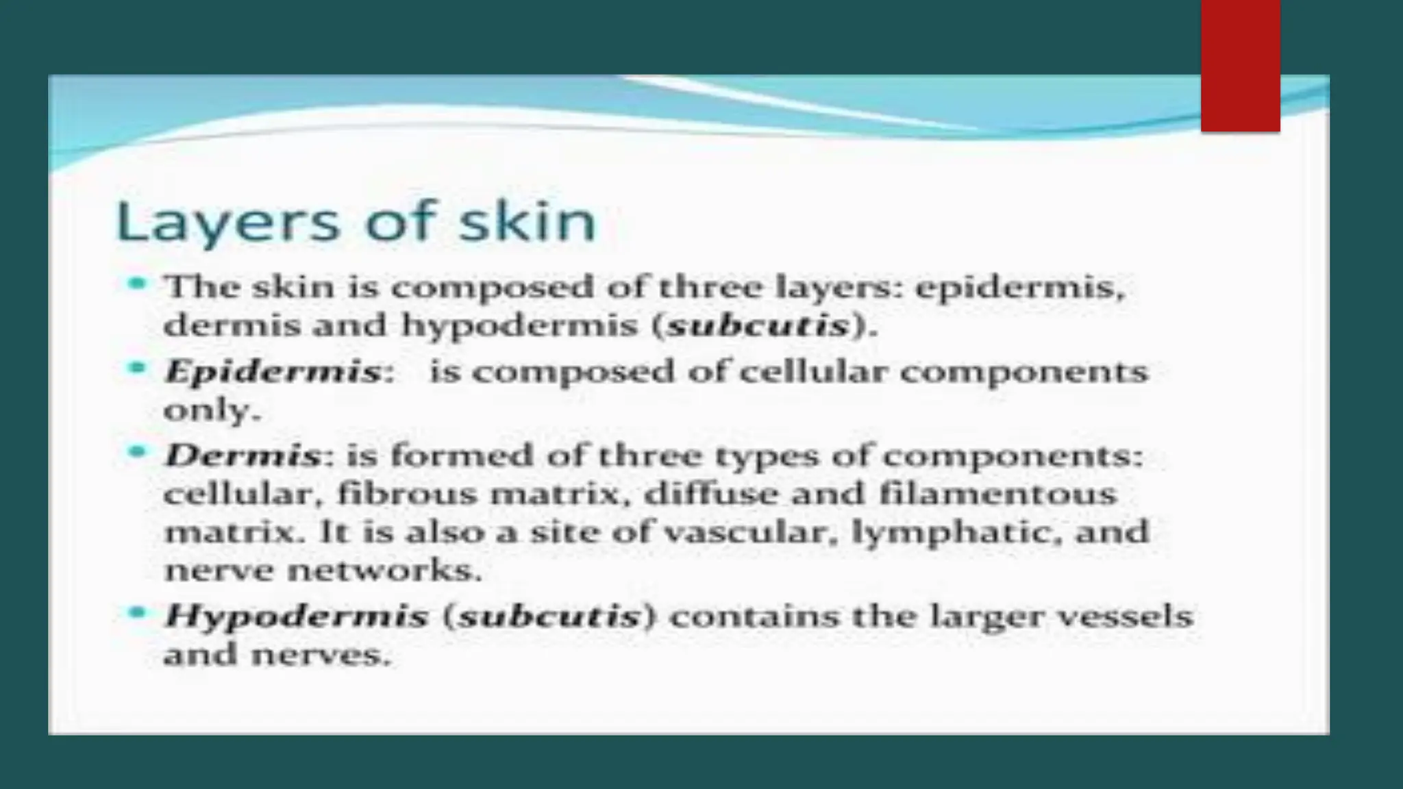 Anatomy of skin for nursing students.... | PDF | Skin and Dermatology ...