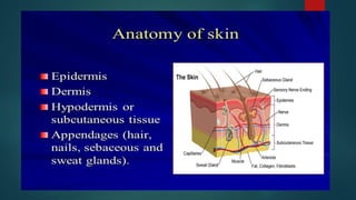 Anatomy of skin for nursing students.... | PDF