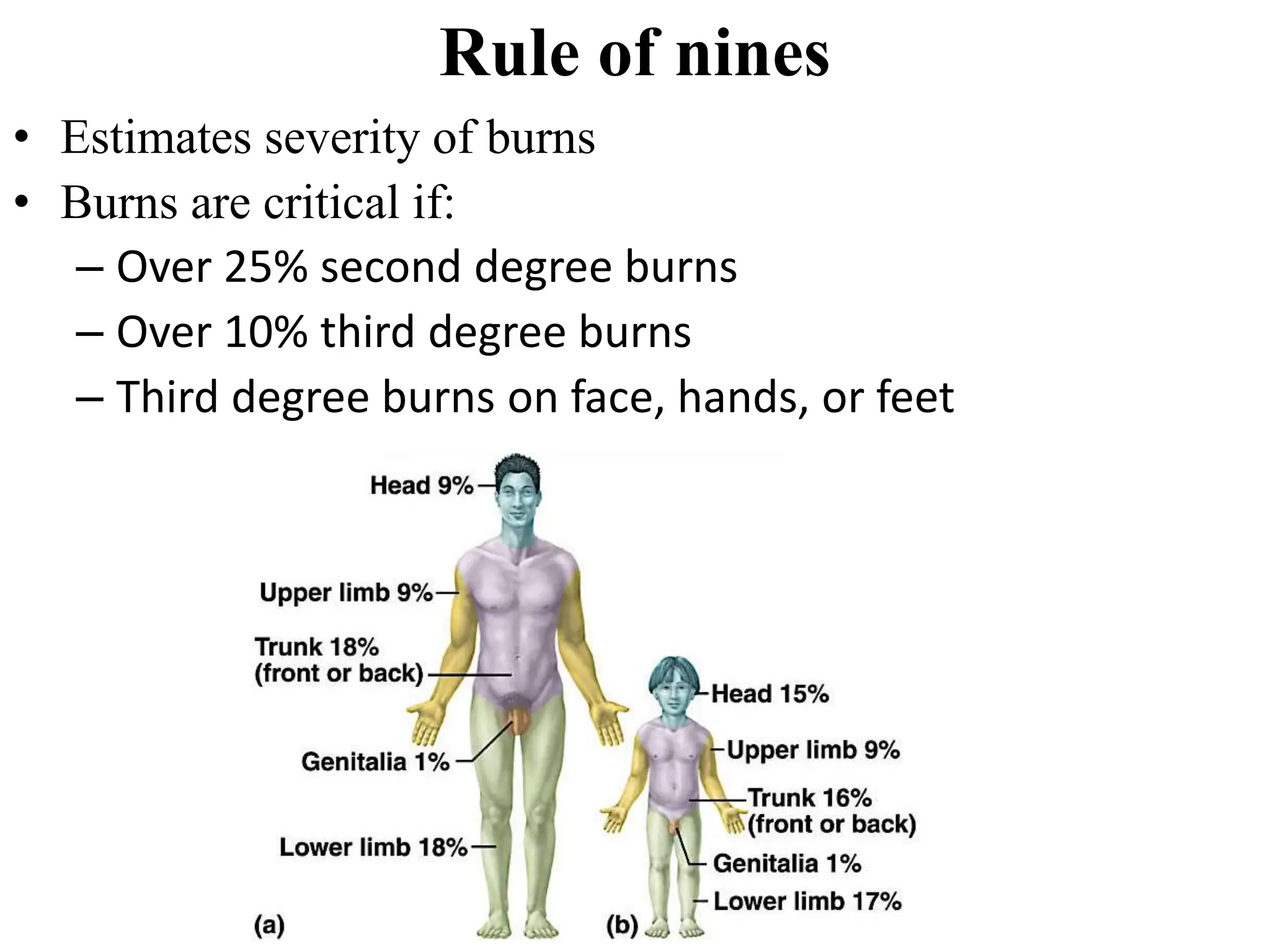 anatomy and physiology of skin layers .pptx