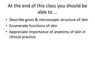 anatomy and physiology of skin layers .pptx