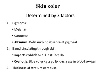 anatomy and physiology of skin layers .pptx