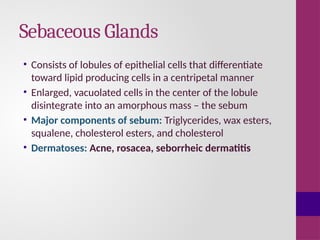Anatomy of skin and basic skin lesions.pptx