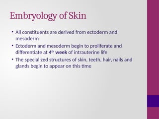 Anatomy of skin and basic skin lesions.pptx