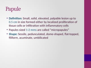 Anatomy of skin and basic skin lesions.pptx