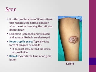 Anatomy of skin and basic skin lesions.pptx