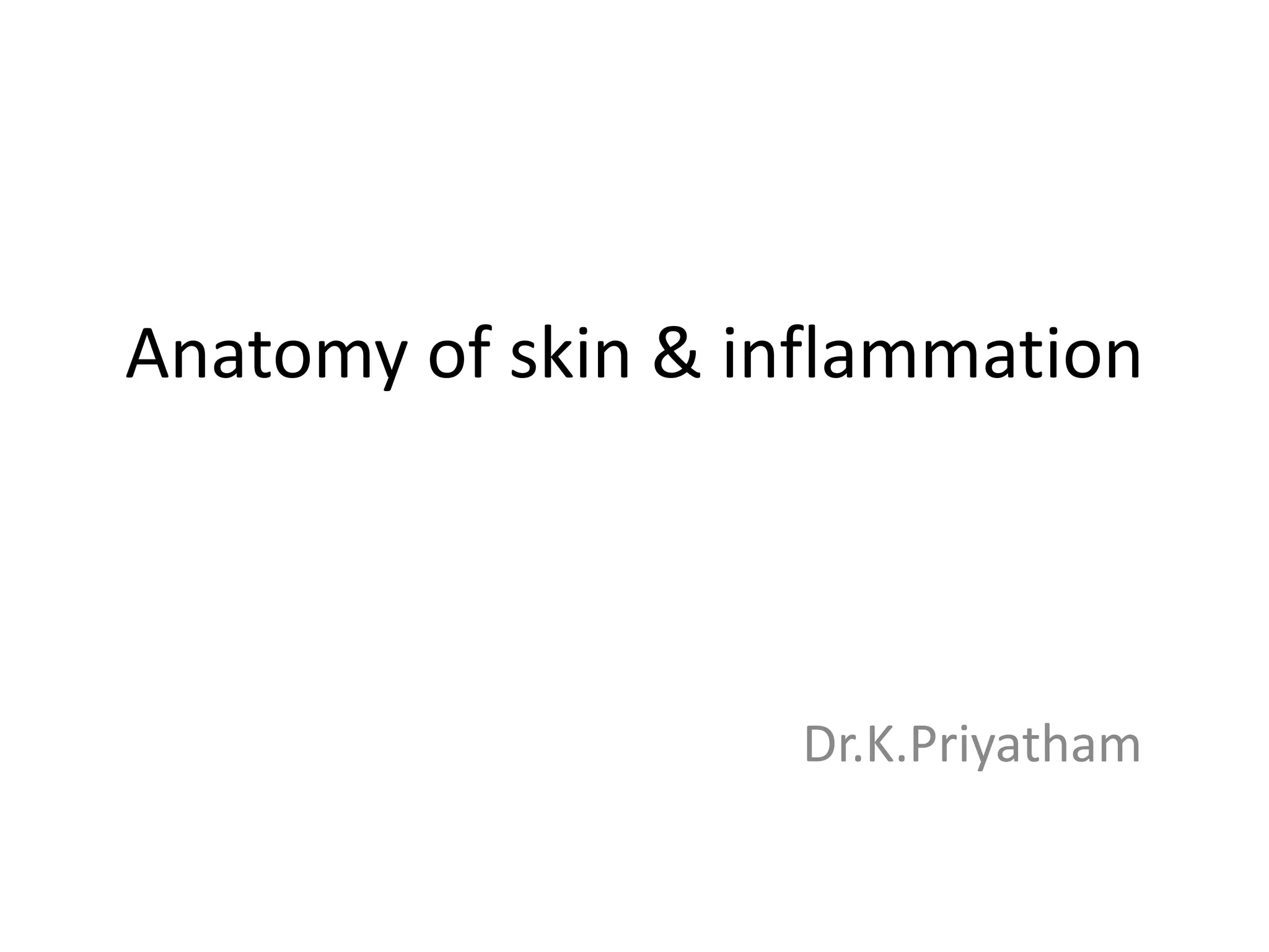 Anatomy of skin & inflammation | PPTX