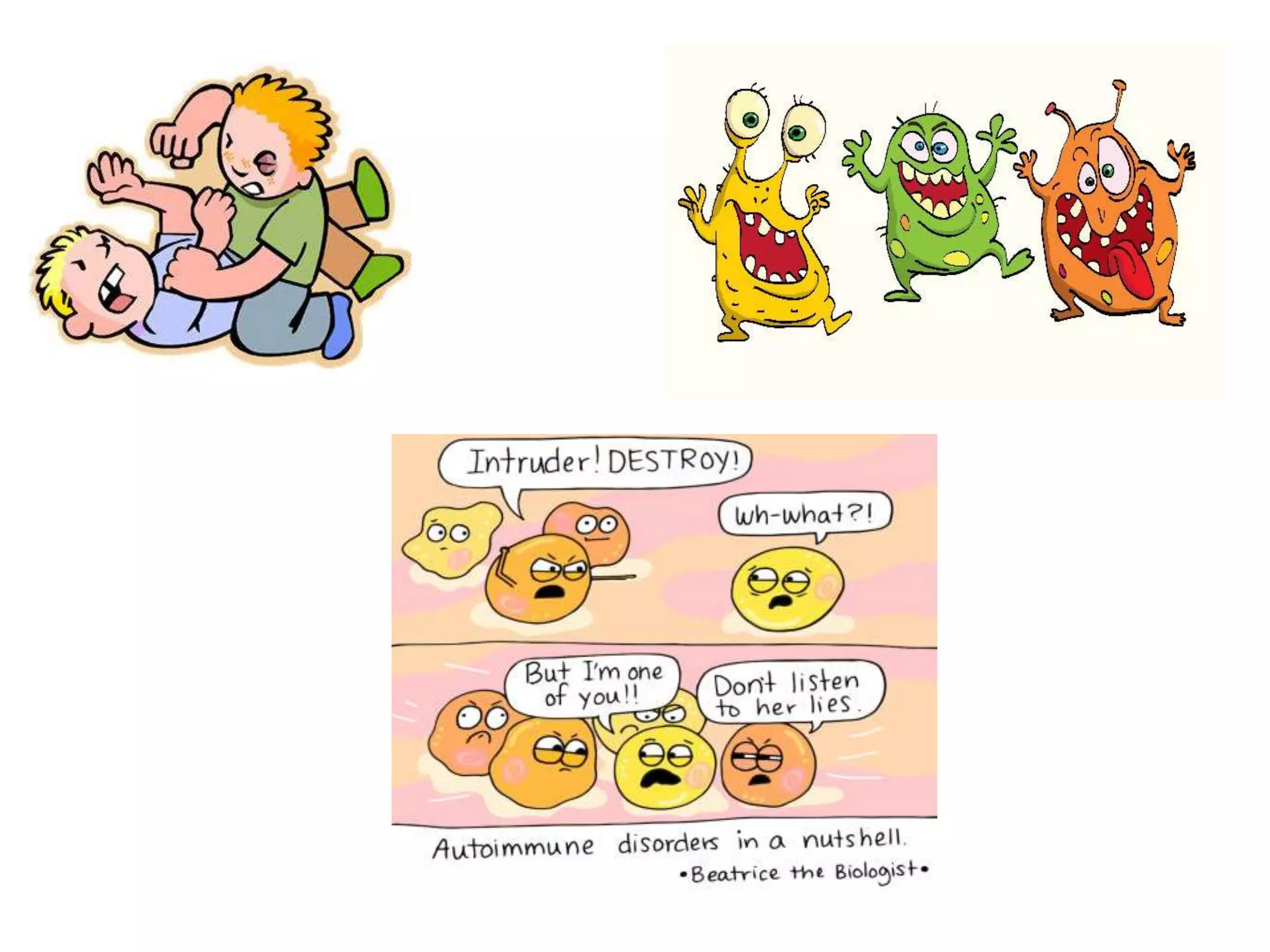 Anatomy of skin & inflammation | PPTX