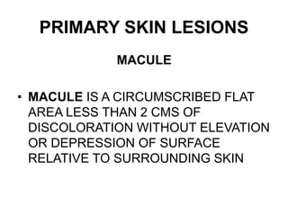 Anatomy of skin & inflammation | PPTX