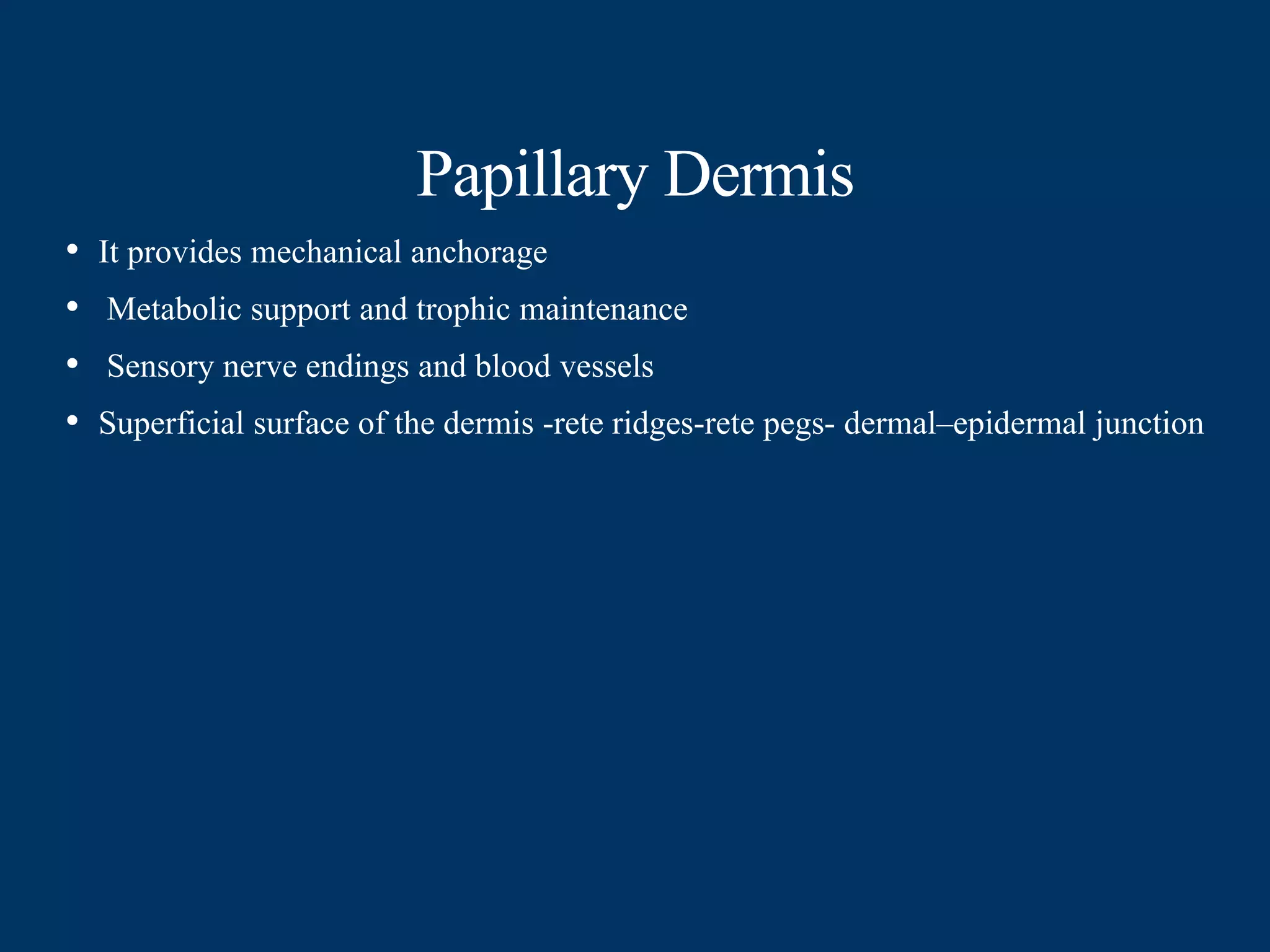 Anatomy of skin S.A.pptx