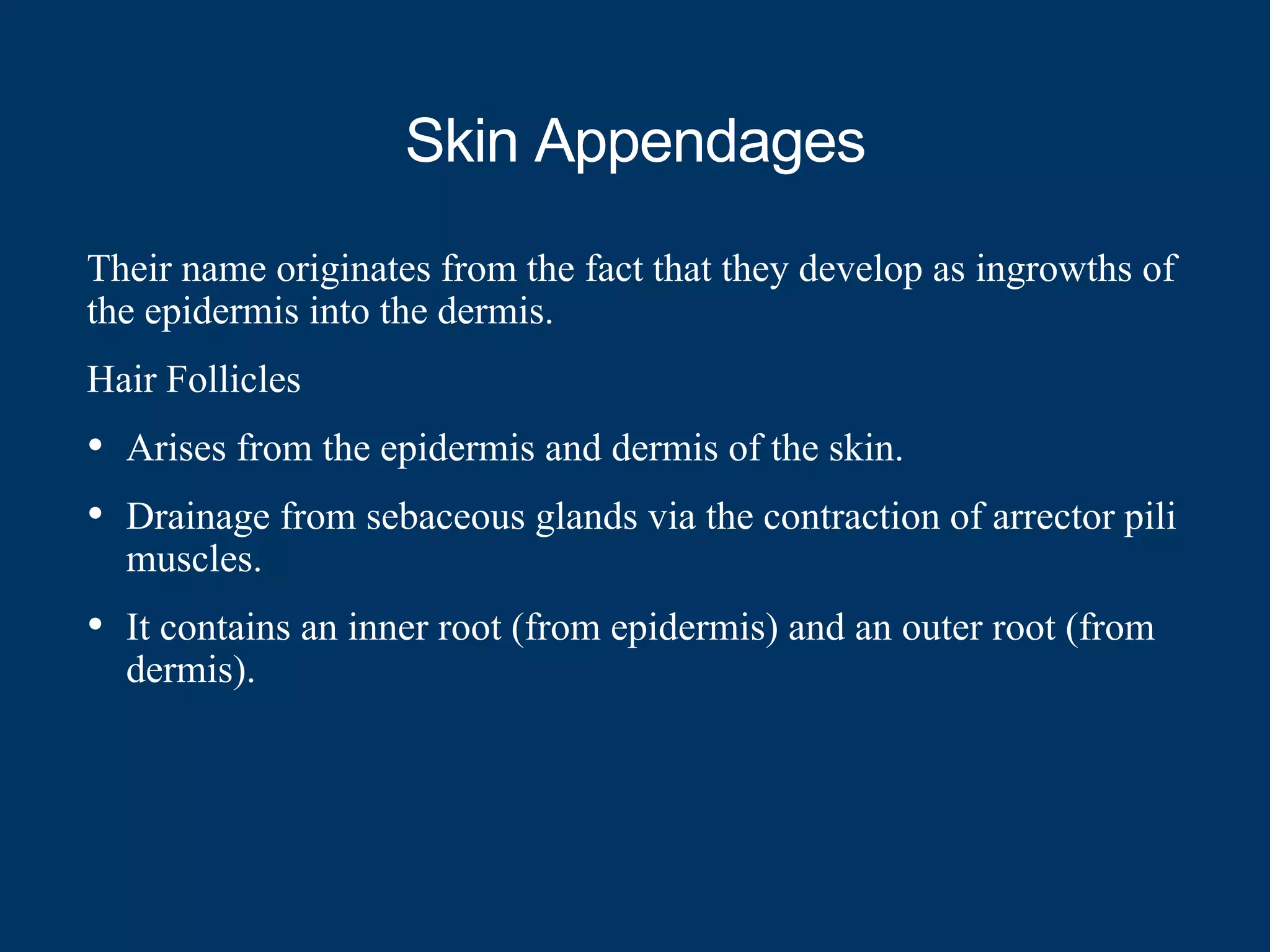 Anatomy of skin S.A.pptx