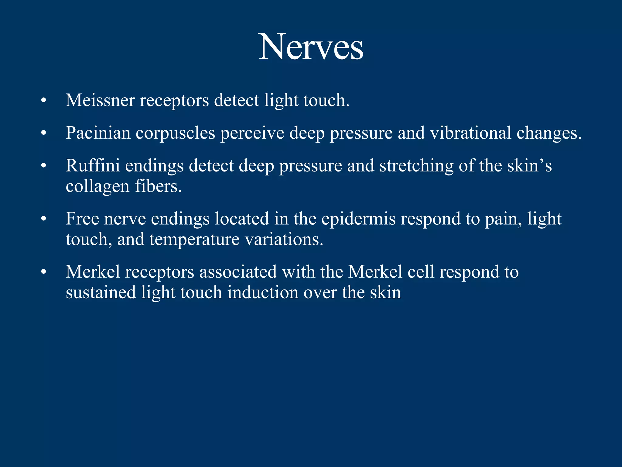 Anatomy of skin S.A.pptx
