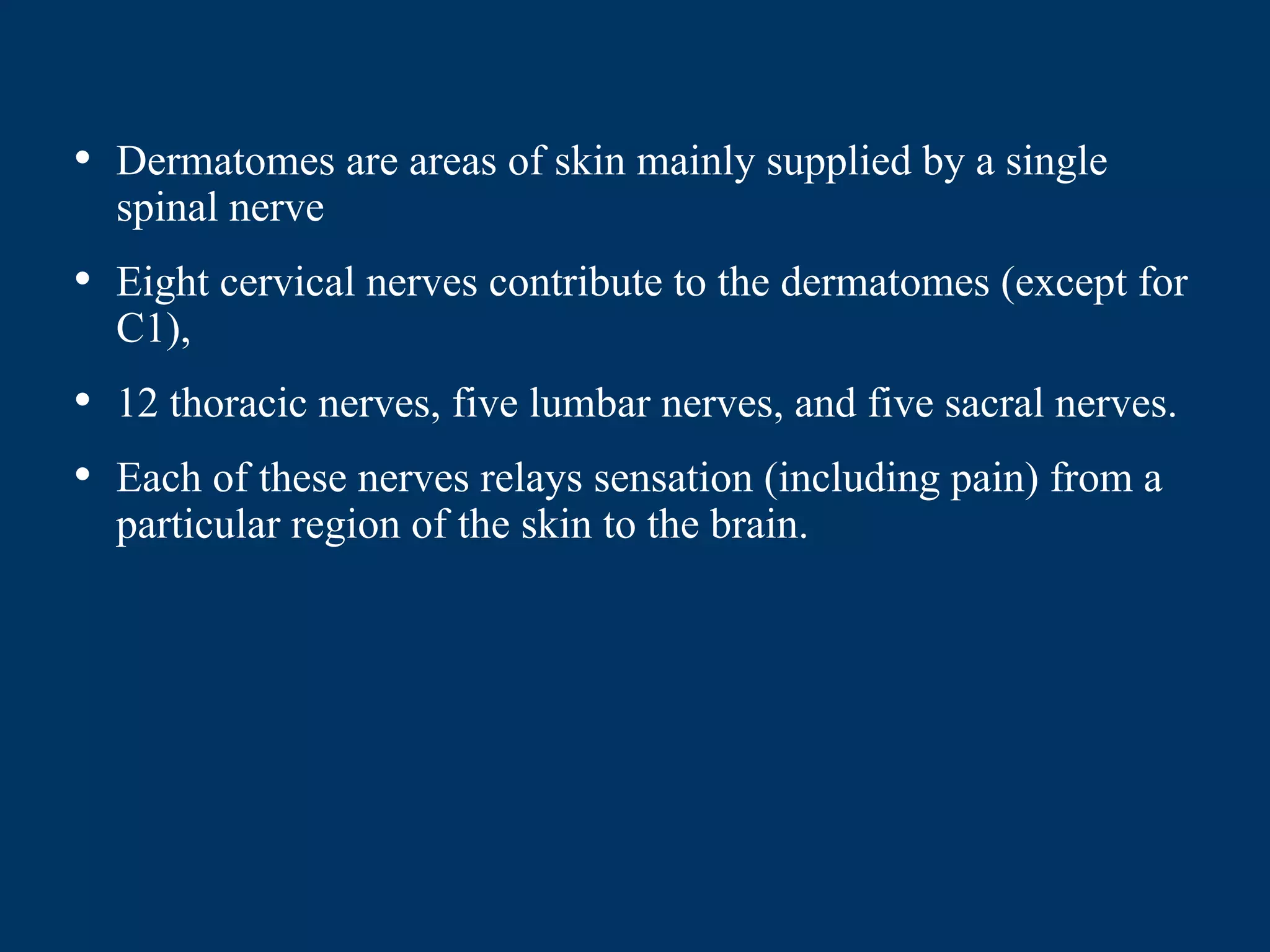 Anatomy of skin S.A.pptx