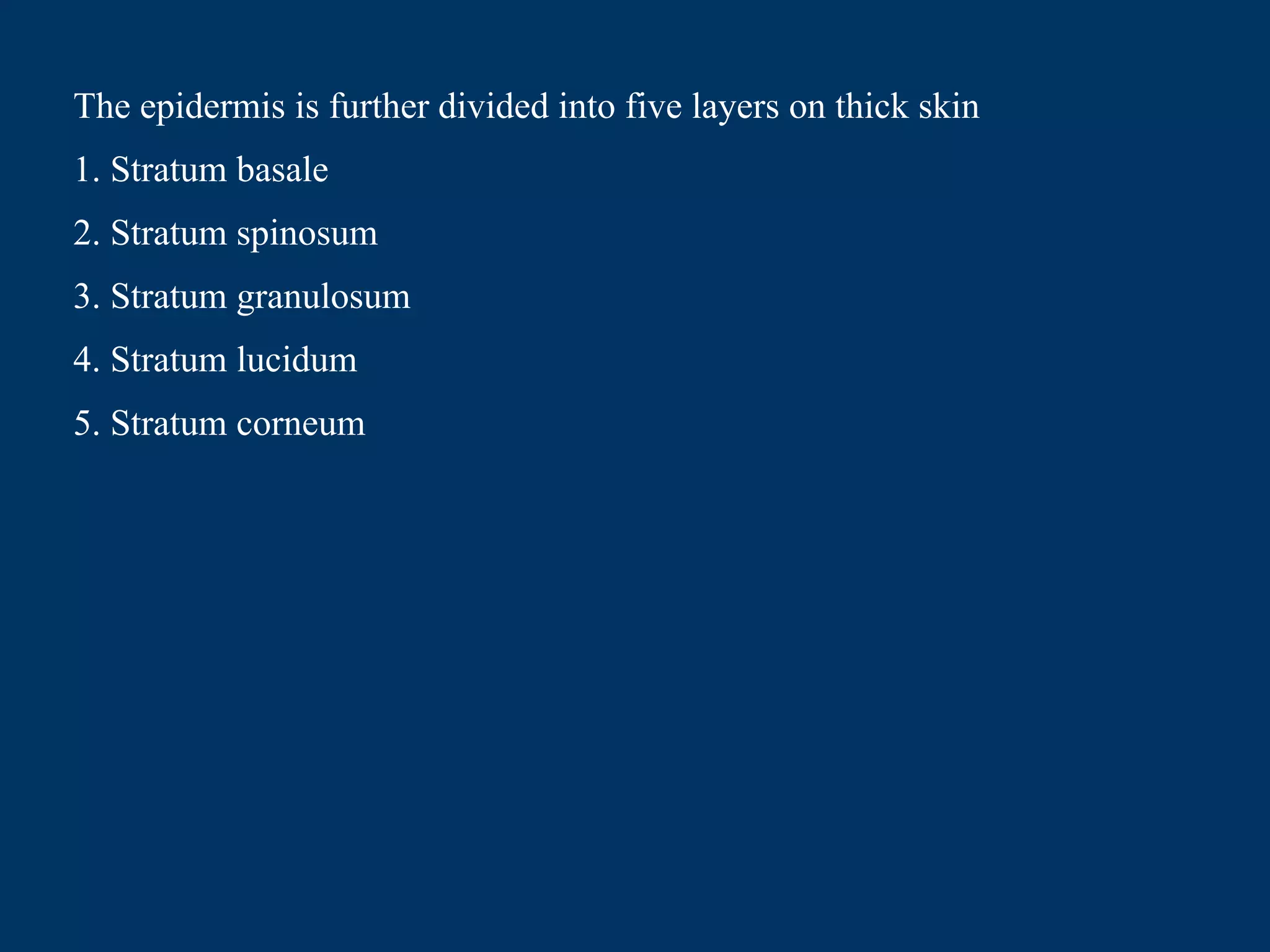 Anatomy of skin S.A.pptx