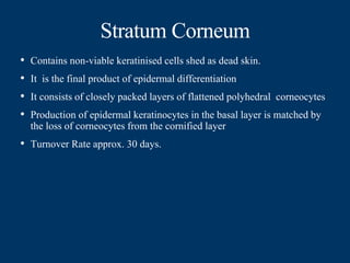 Anatomy of skin S.A.pptx