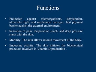 Anatomy of skin S.A.pptx