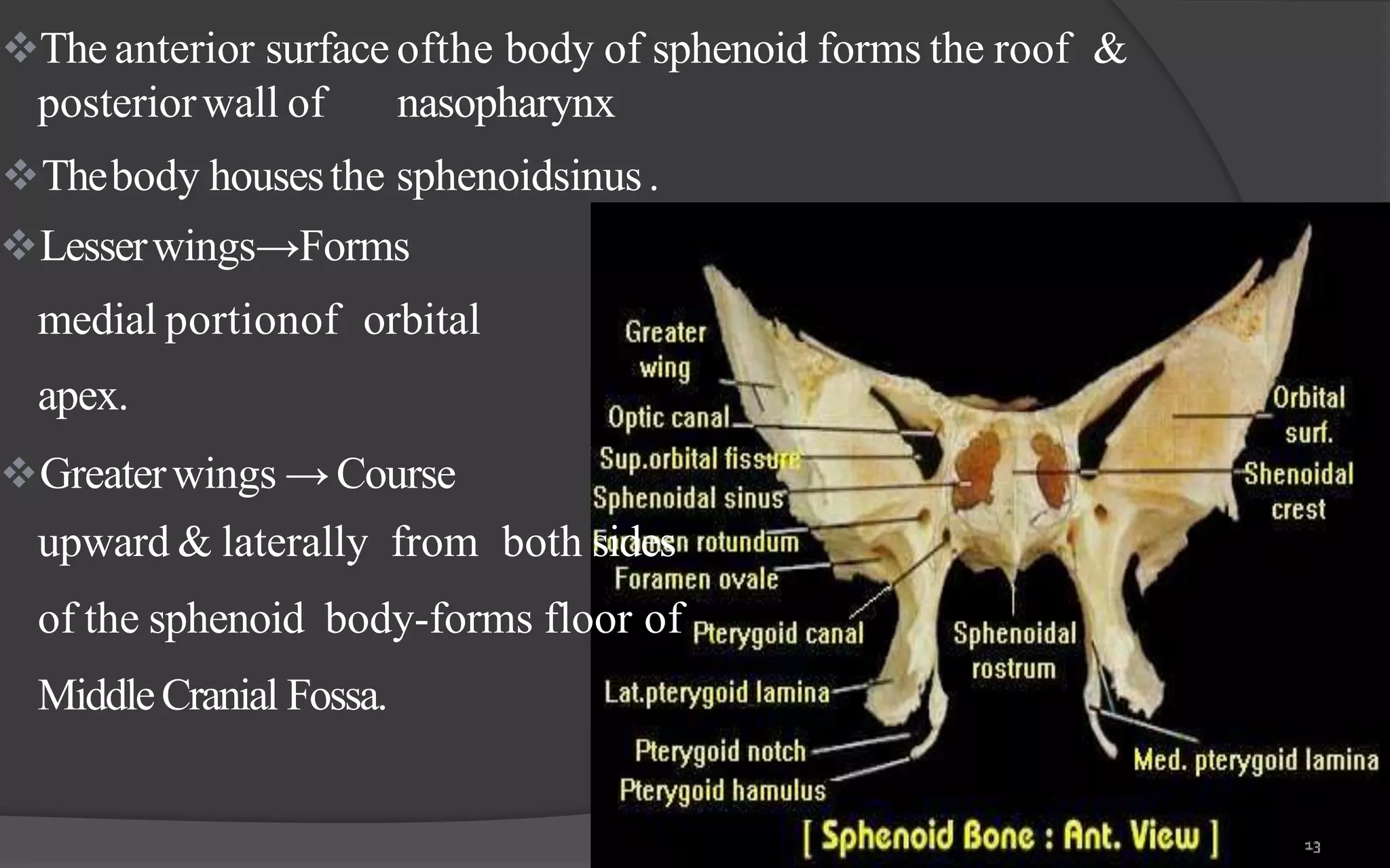 Anatomy of skull base | PPTX