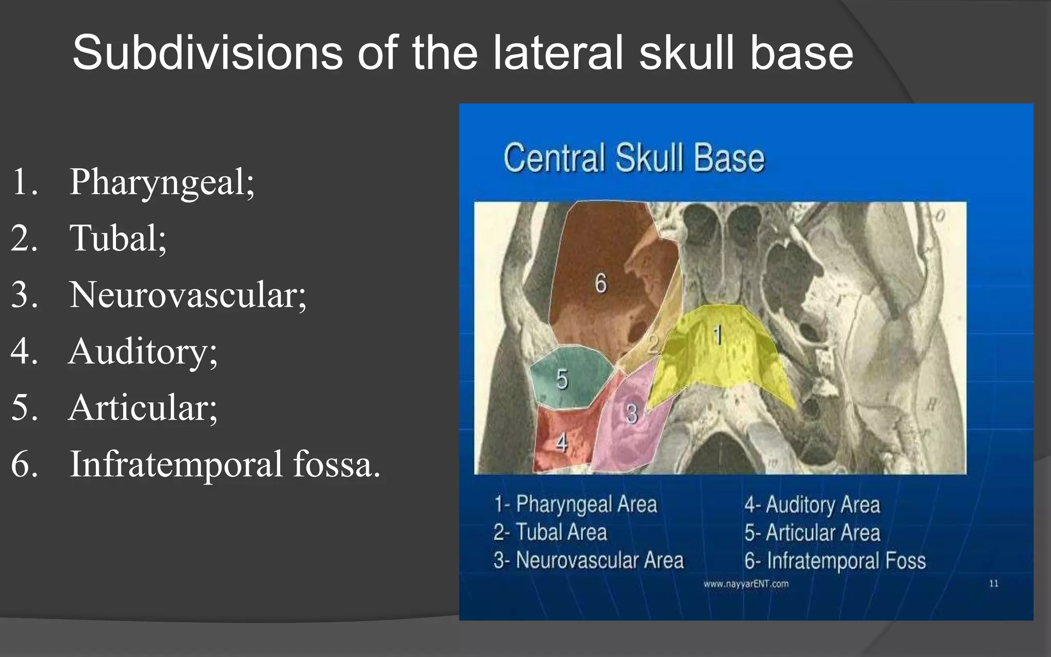 Anatomy of skull base | PPTX
