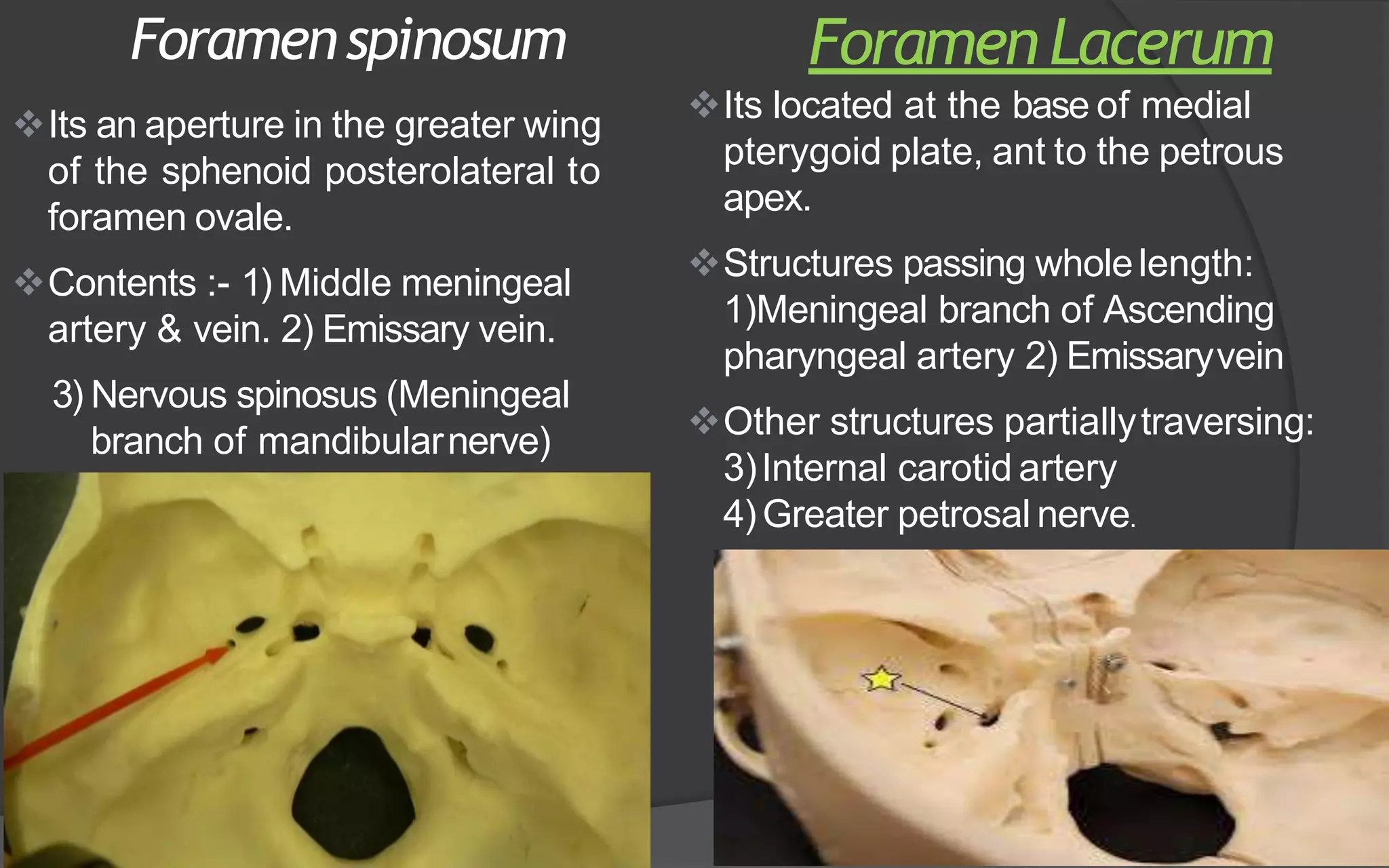Anatomy of skull base | PPTX