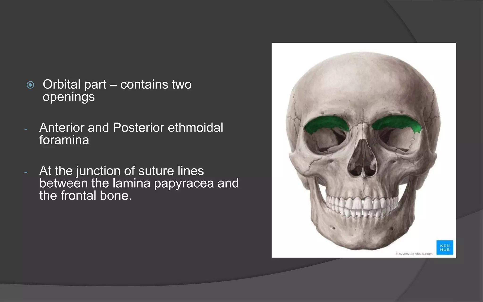 Anatomy of skull base | PPTX