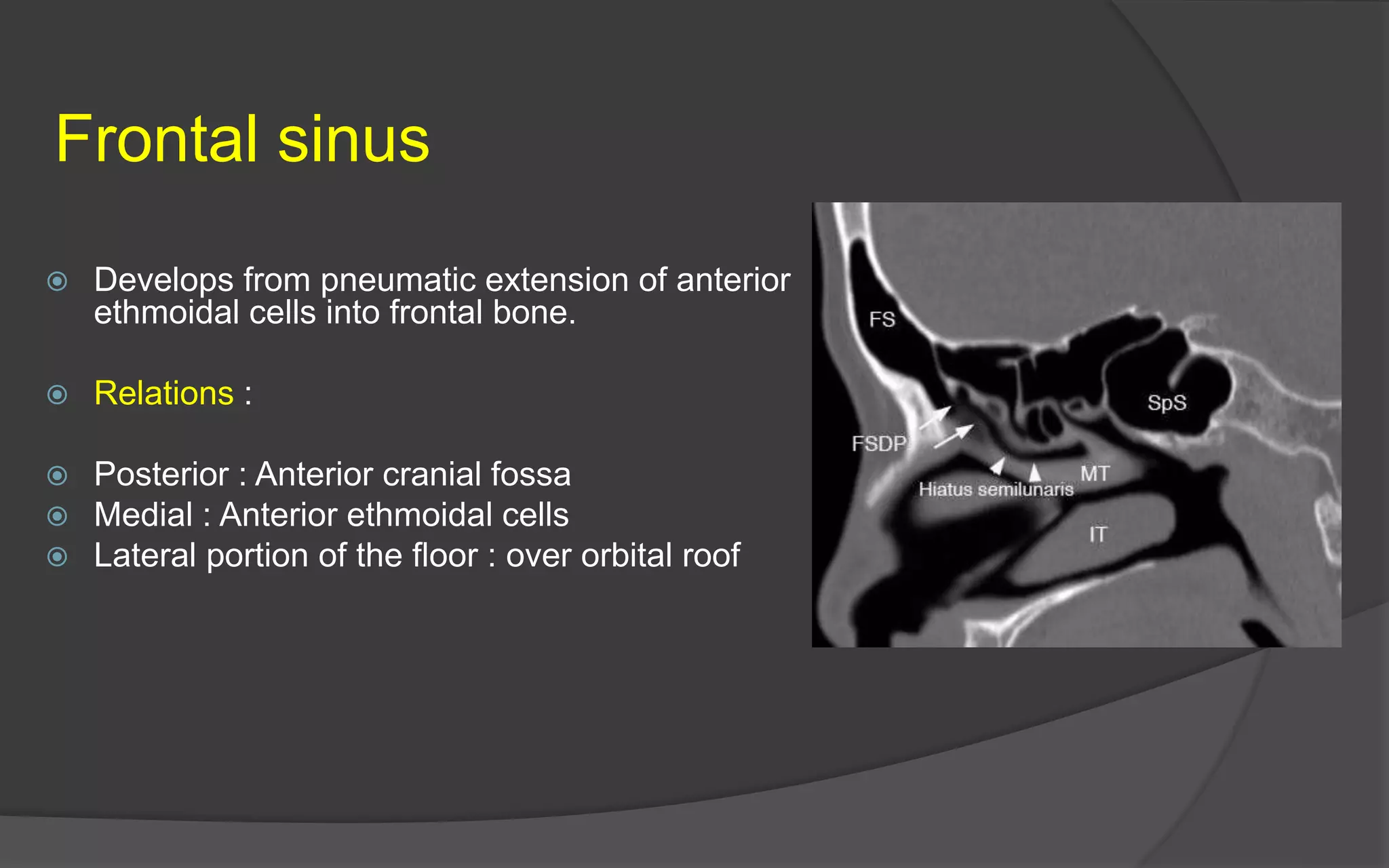 Anatomy of skull base | PPTX